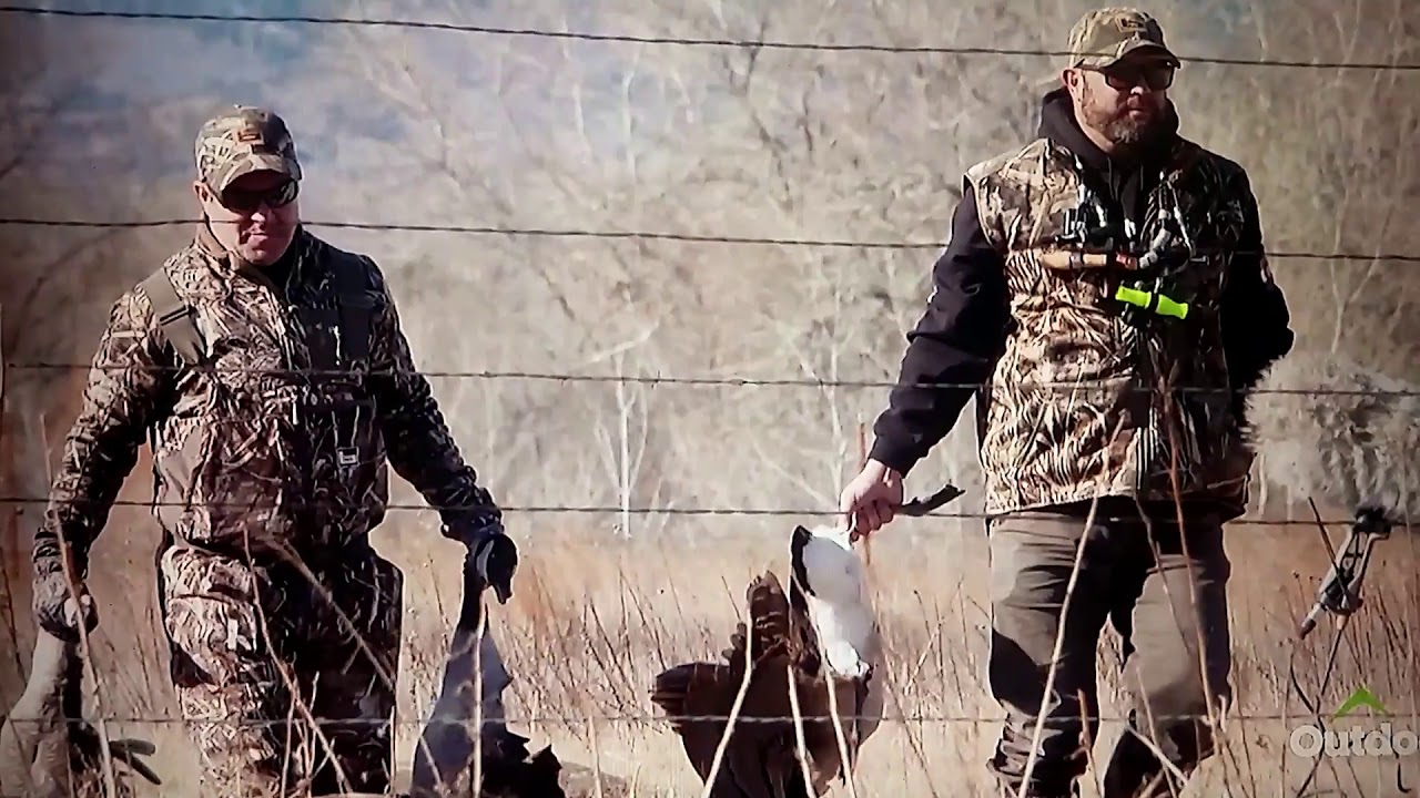 Great Goose Hunt,hunting geese,Canadian geese,greater canada,The fowl ...