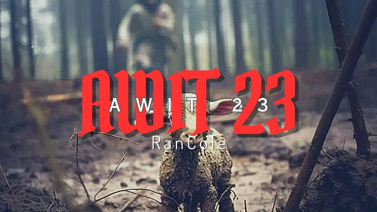 AWIT 23 - RanCole (Official Lyric Video) - YouTube