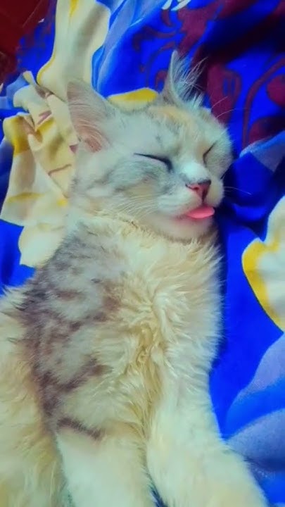 Tounge Out 😂🤣😀 Youtube
