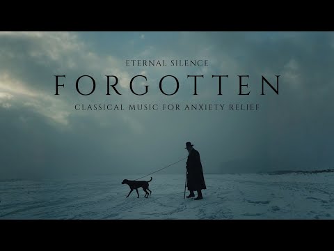 Classical Music to Forget Stress & Deep Work | Schubert, Liszt, Debussy, Satie, Schumann