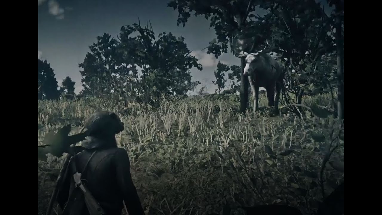 Hunting Legendary Moose in rdr2 - YouTube