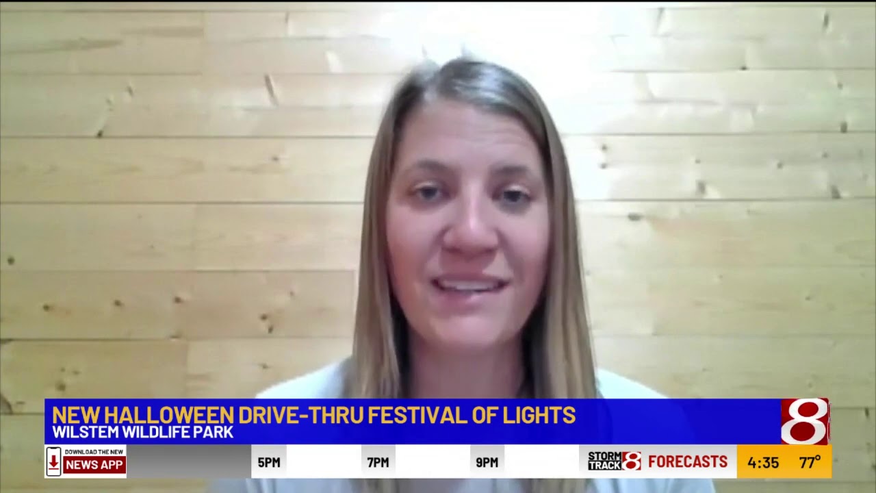 Halloween Drive-thru festival of lights comes to Wilstem Wildlife Park ...