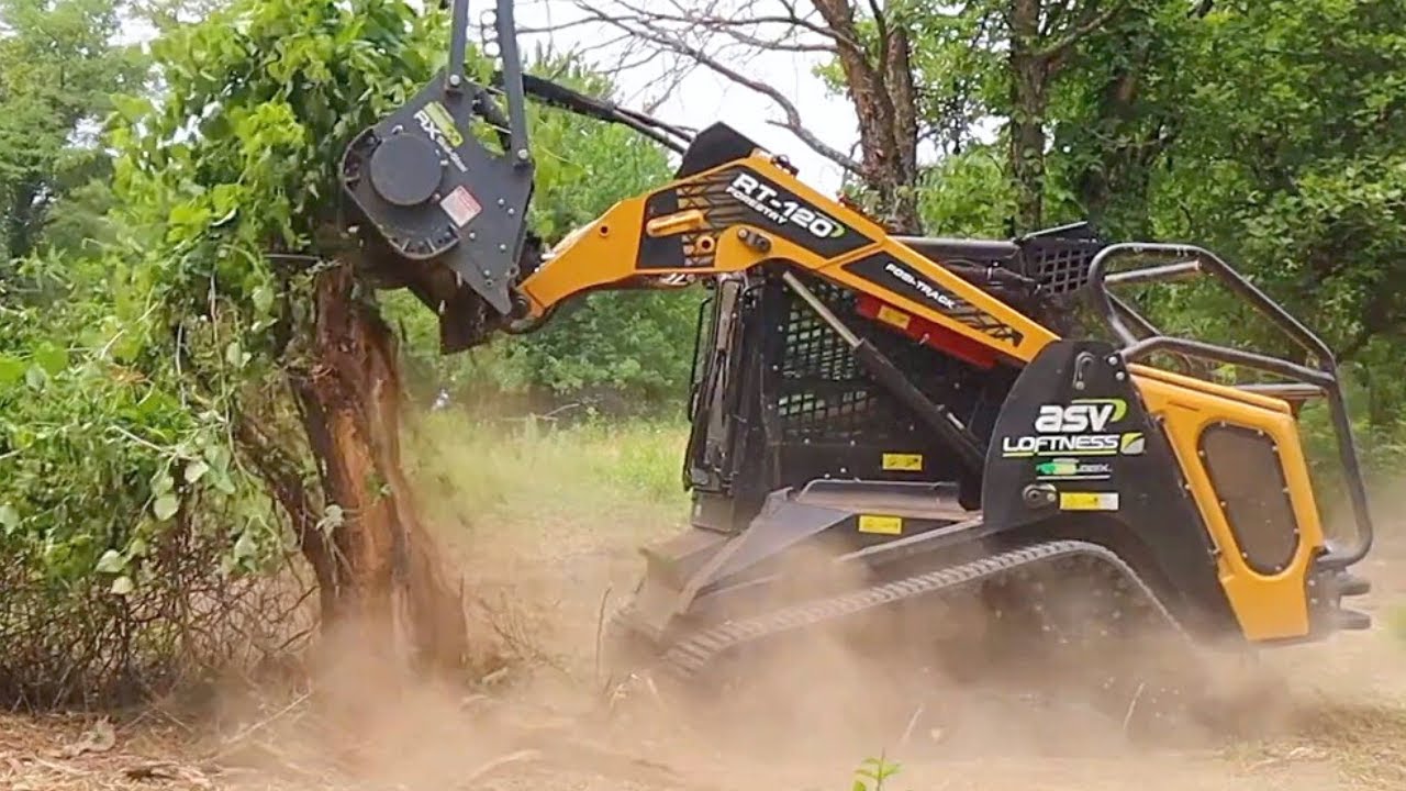 Shredding Trees with a Forestry Mulcher - YouTube