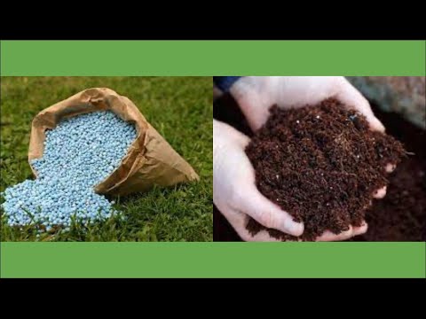 Inorganic Fertilizers versus Organic Fertilizers - YouTube