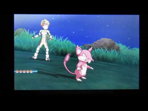 45☆ Rattata d'Alola Chromatique / Shiny Alolan Rattata en 995 ...