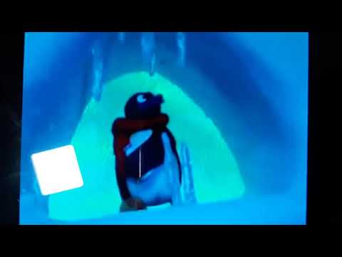Pingu Cold - YouTube