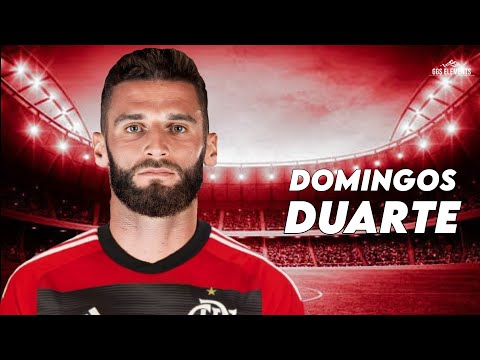Domingos Duarte 2024 - Bem Vindo ao Flamengo? - Defensive Skills & goals | HD