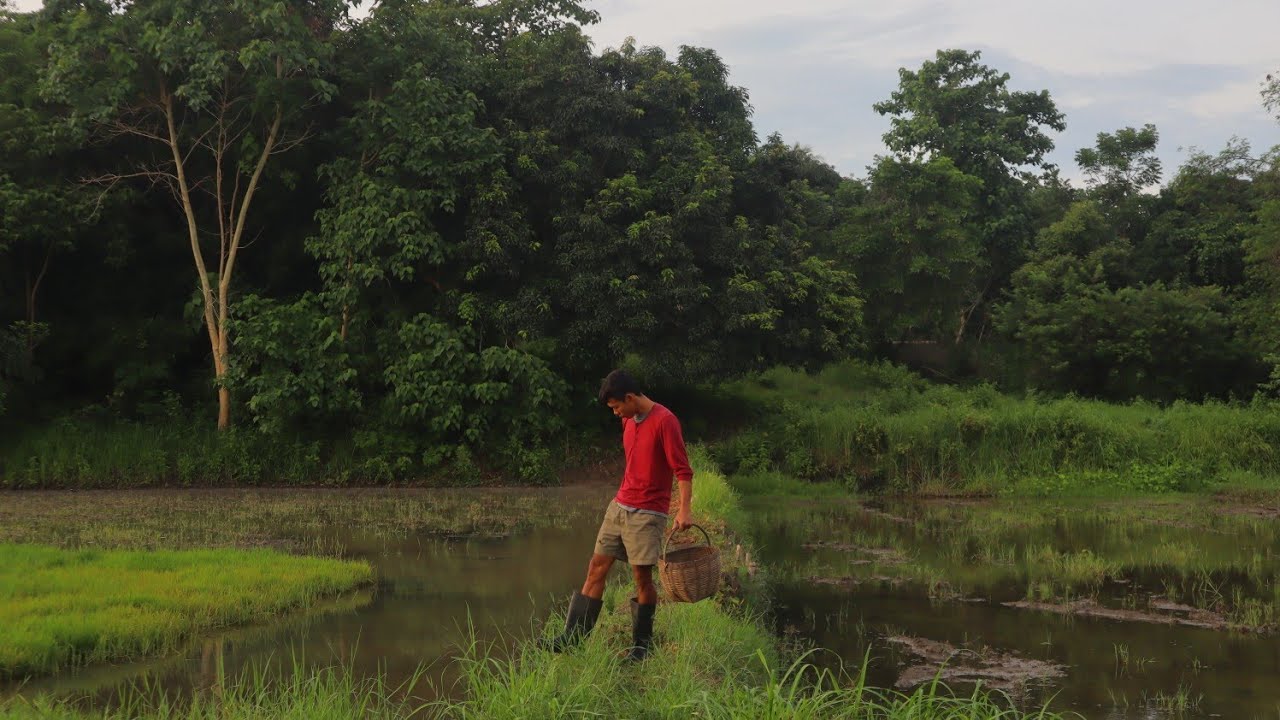 Slow morning - eating organic vegetable SABIDUKONG FLOWER the blessings ...