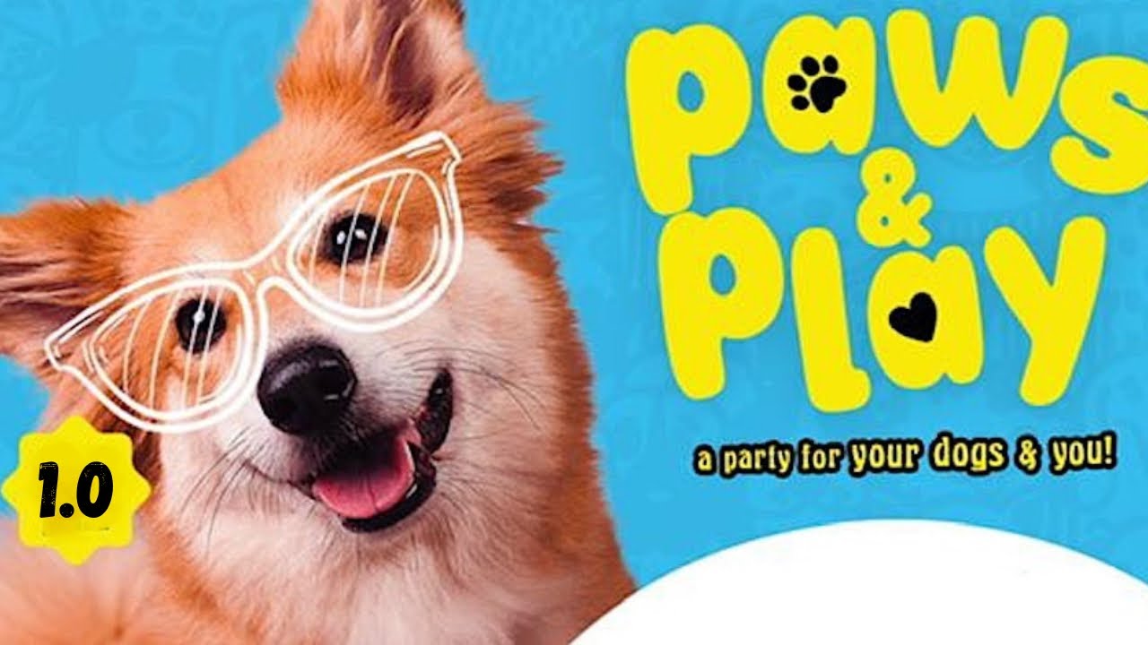 Episode 35: Paws & Play - Favorite Moments | My Dog & I - YouTube