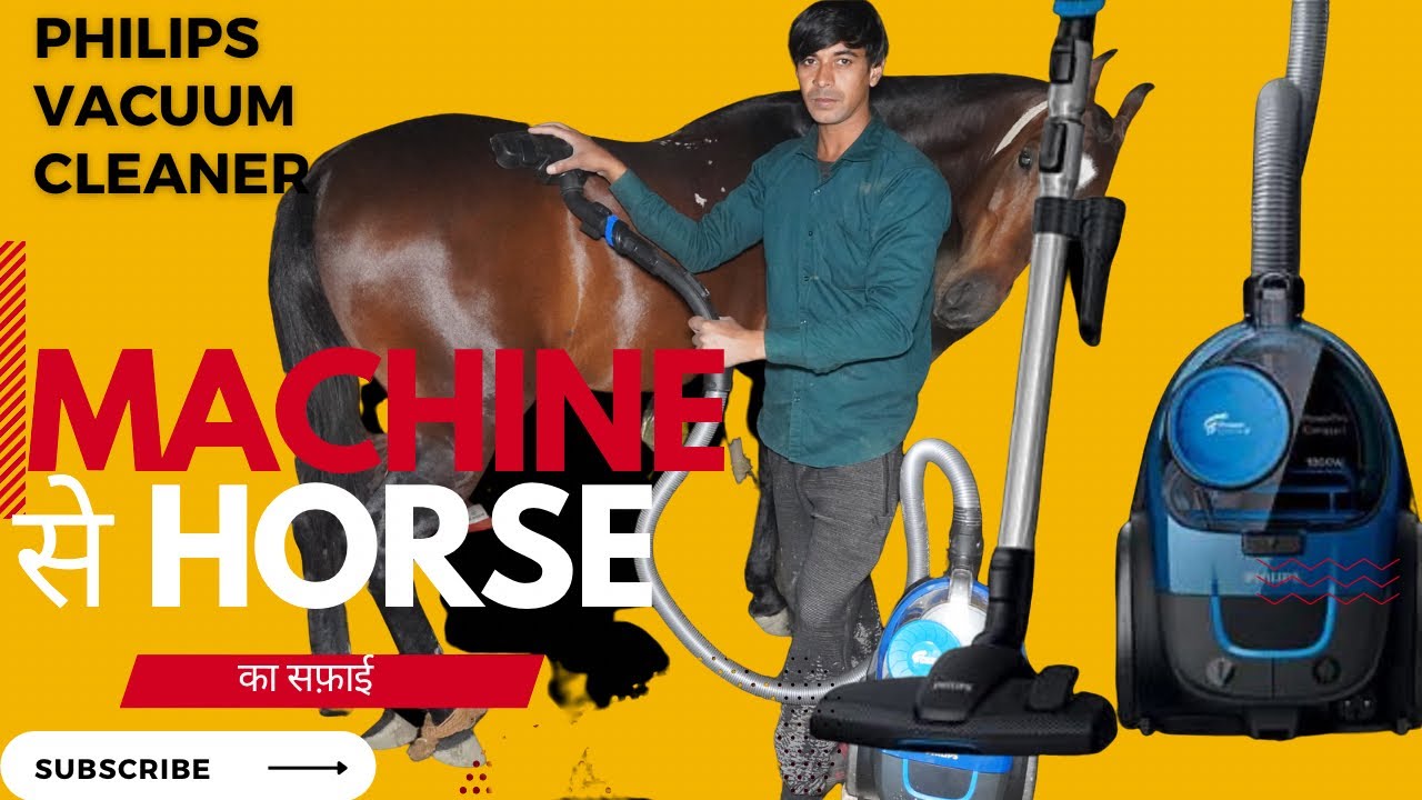 हम करने वाले है घोड़े की सफ़ाई मशीन से । philip vacuum cleaner ...