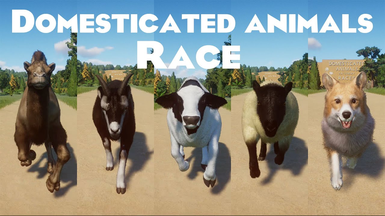 Domesticated Animals Races in Planet Zoo included Suffolk Sheep ...