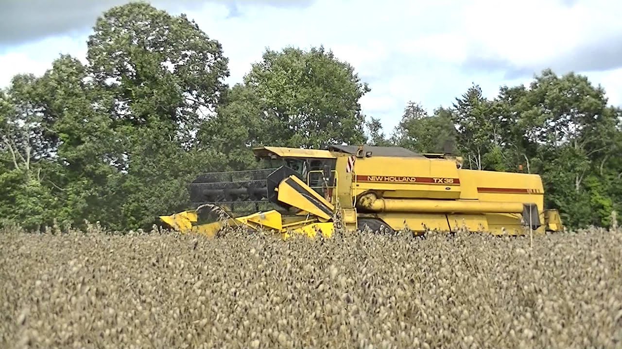 Moisson 2013 en centre Bretagne - YouTube