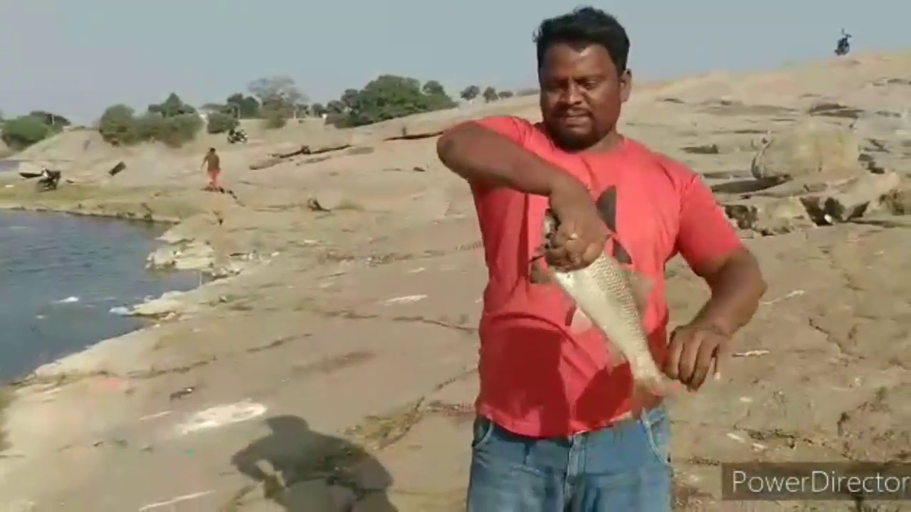 Hyderabad fishing🎣🎣 // rohu fish // Well Come to Monster fishing ...