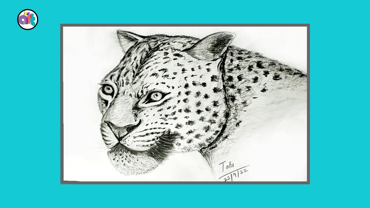 How to draw leopard with pencil easily | easy cheetah drawing | easy ...