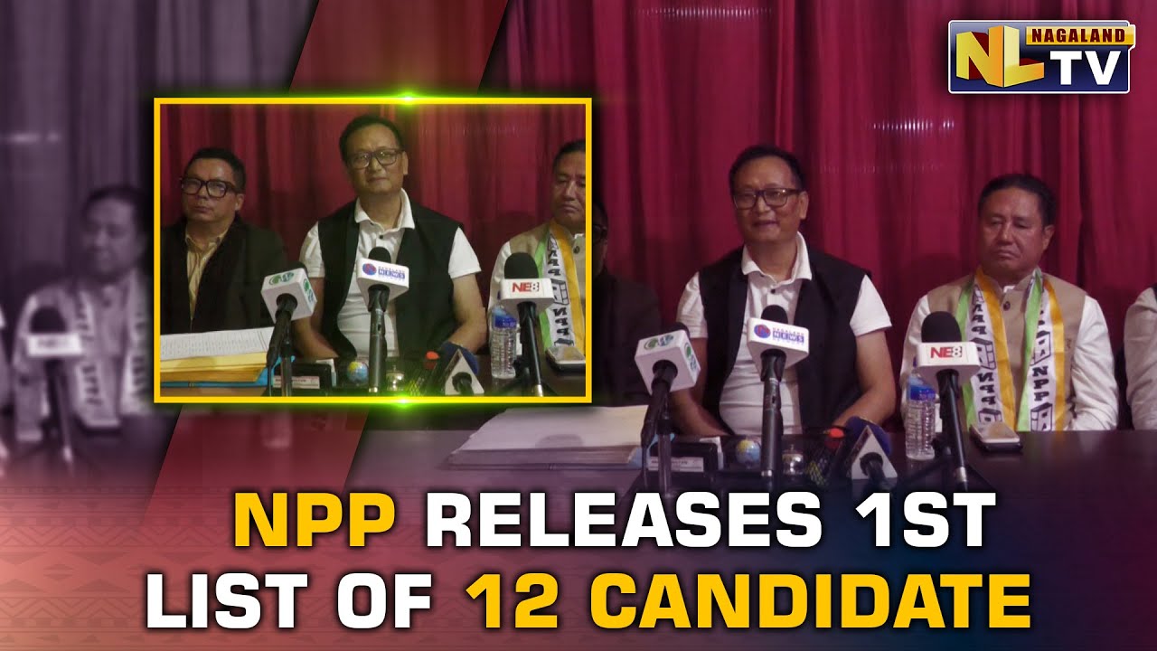 NPP RELEASES 1ST LIST OF 12 CANDIDATE AND LAUNCHED MANIFESTO FOR ...