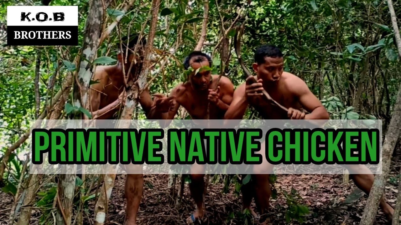 primitive native chicken - YouTube