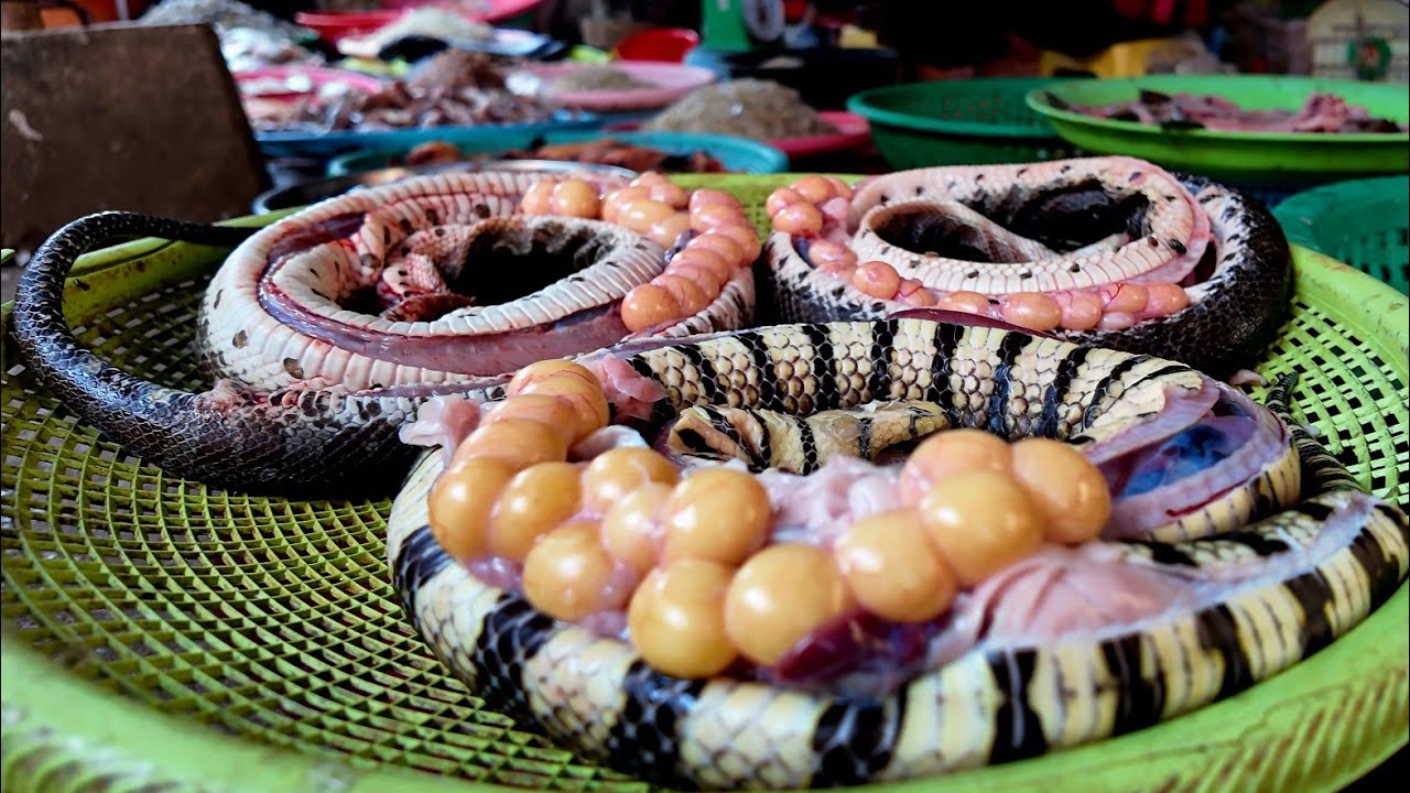 Weird Food | Big Snake Eggs For Sale At Market | Goo Food - YouTube