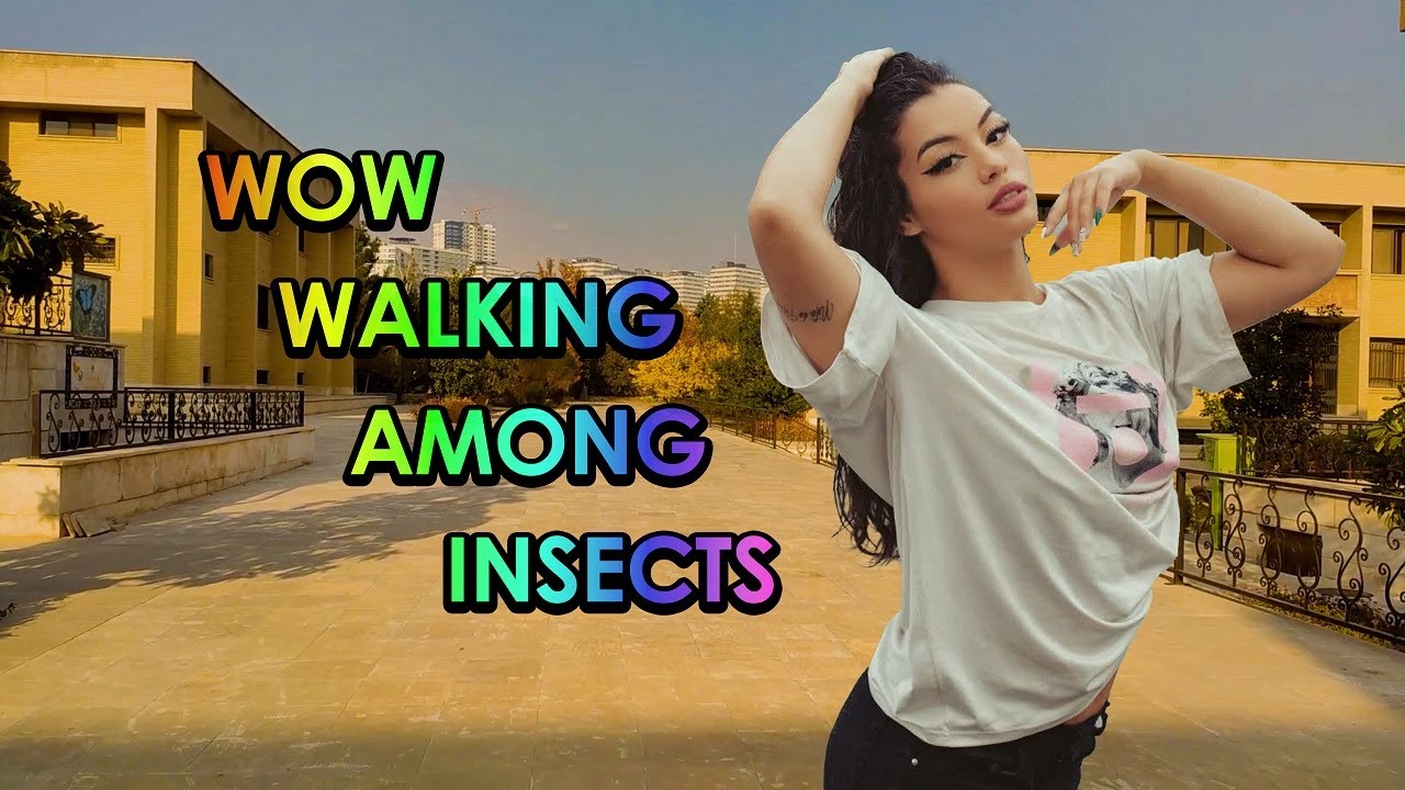 Iran - wow walking among insects/Walking among different species of ...