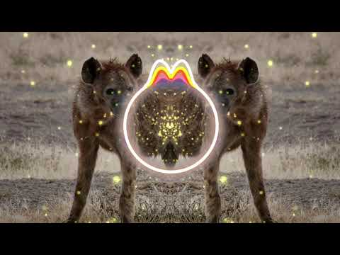 Sound Hyena - Sound Effect Free (HD)