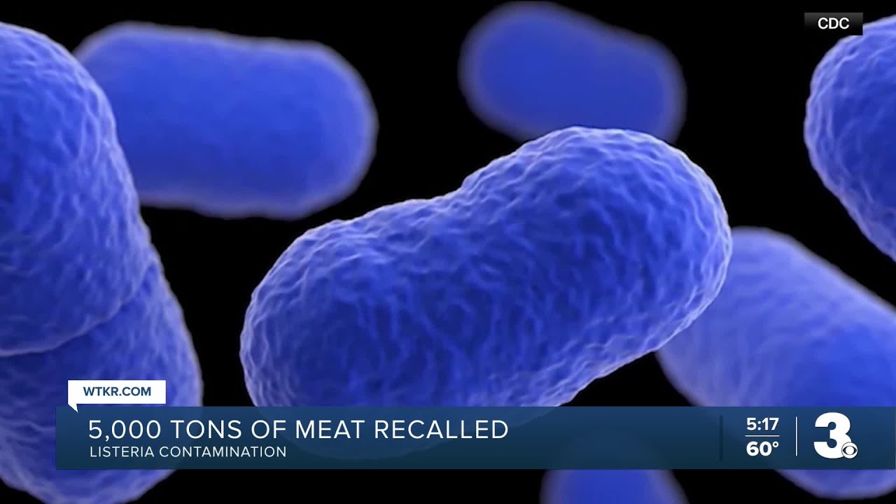 Nearly 5,000 tons of BrucePac meat products recalled due to listeria ...
