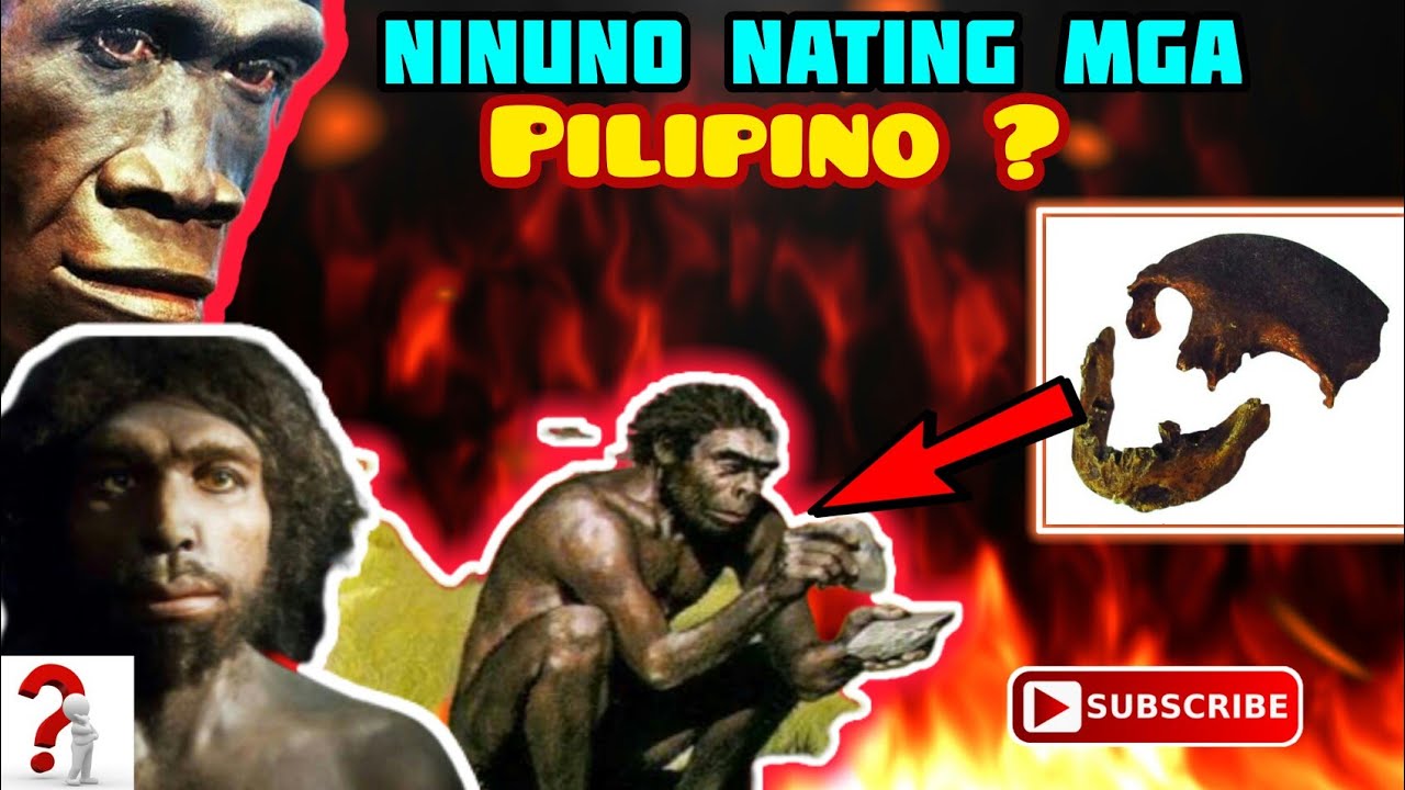 AP Ang Mga Ninuno NG Mga Pilipino PDF, 41% OFF