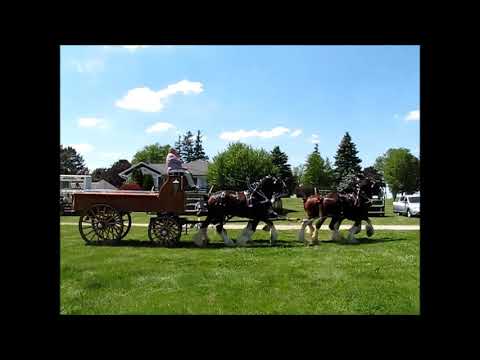 David Jantzi & David Carson Driving the 4 Horse Hitch of Clydesdales ...