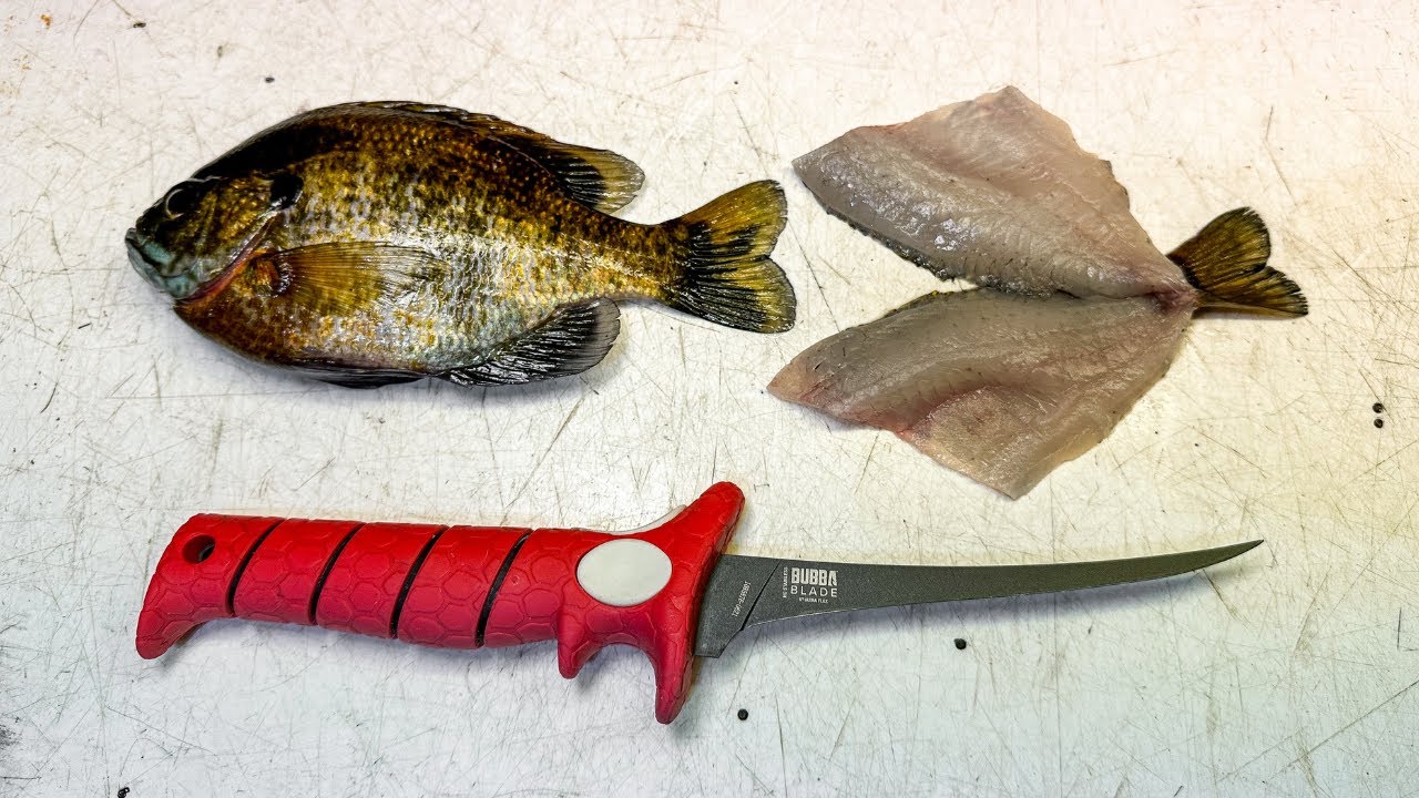 How to "Butterfly" a Bluegill (You Have GOT to Try This!) - YouTube