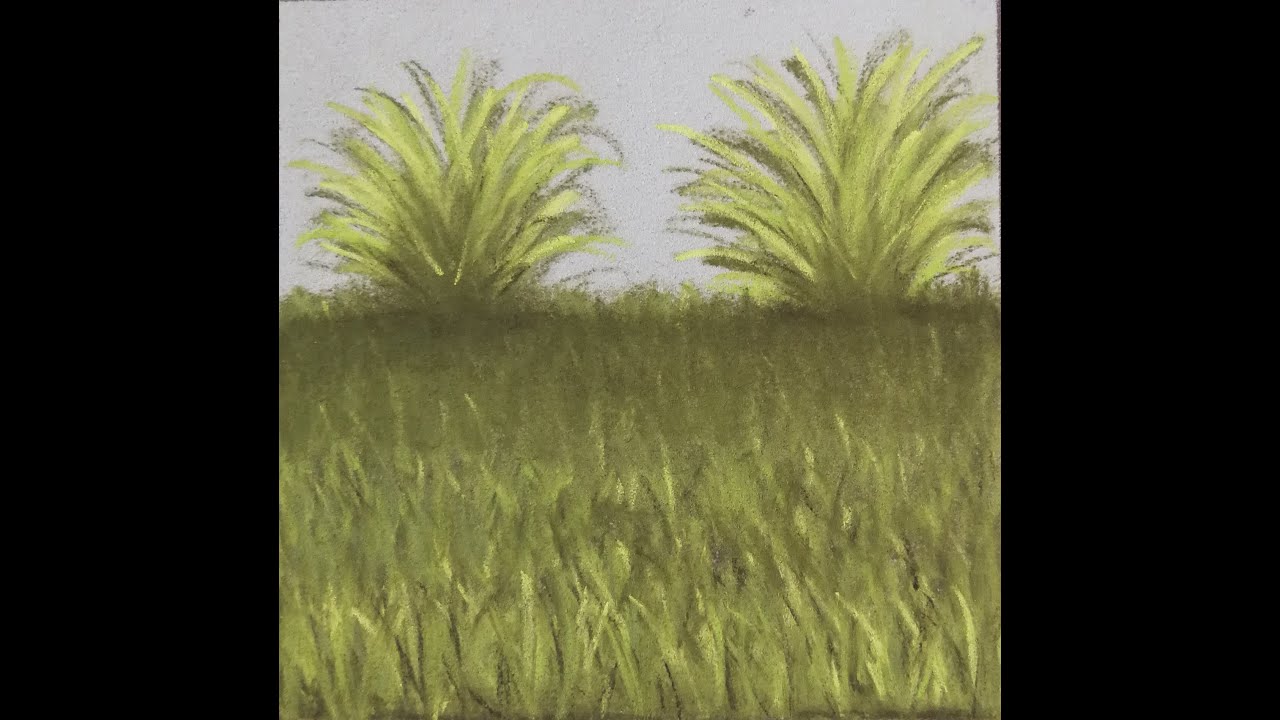 Gras tekenen stap voor stap met pastelpotloden - YouTube