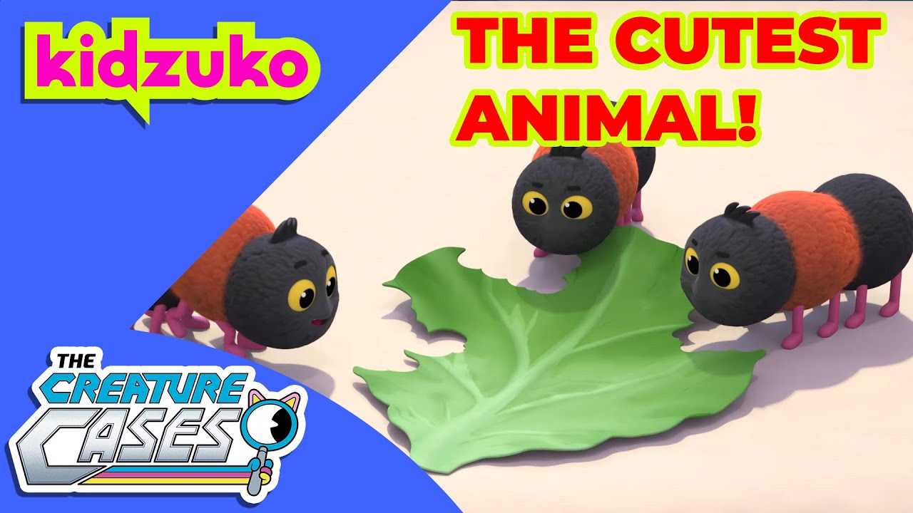 @CreatureCases - 🥹🥰 The Cutest Animal EVER! 🥰🥹 | Best Bits! | @Kidzuko ...