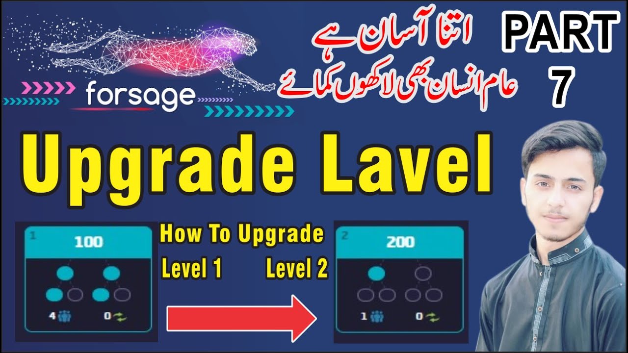 X3 X4 Box Buy Forsage | Buy Lavel X4 Box Forsage | Upgrade Level ...