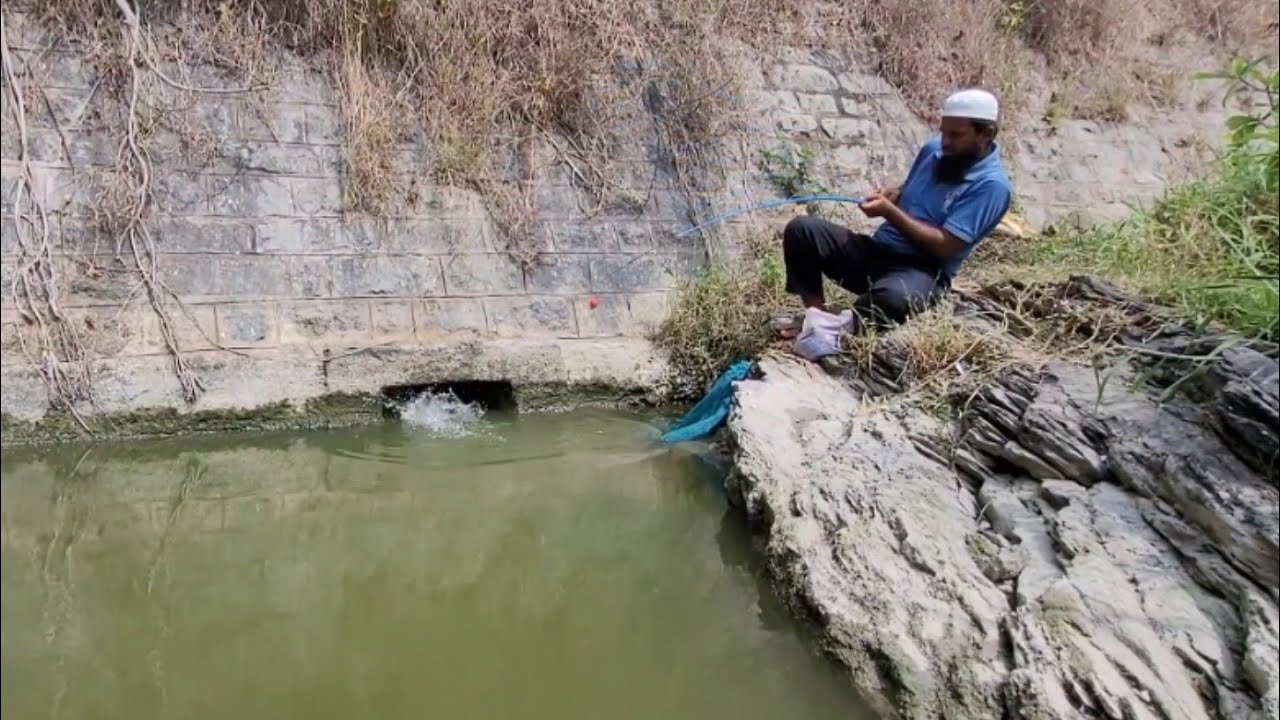 Back to Back fishes|Amazing fishing video in Villages|Catfish and Big ...