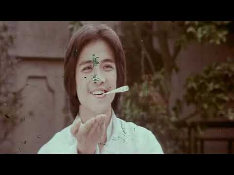 Along Came A Tiger (Taiwan 1977) aka Der Tiger mit der Todeskralle - Eastern Trailer (englisch)