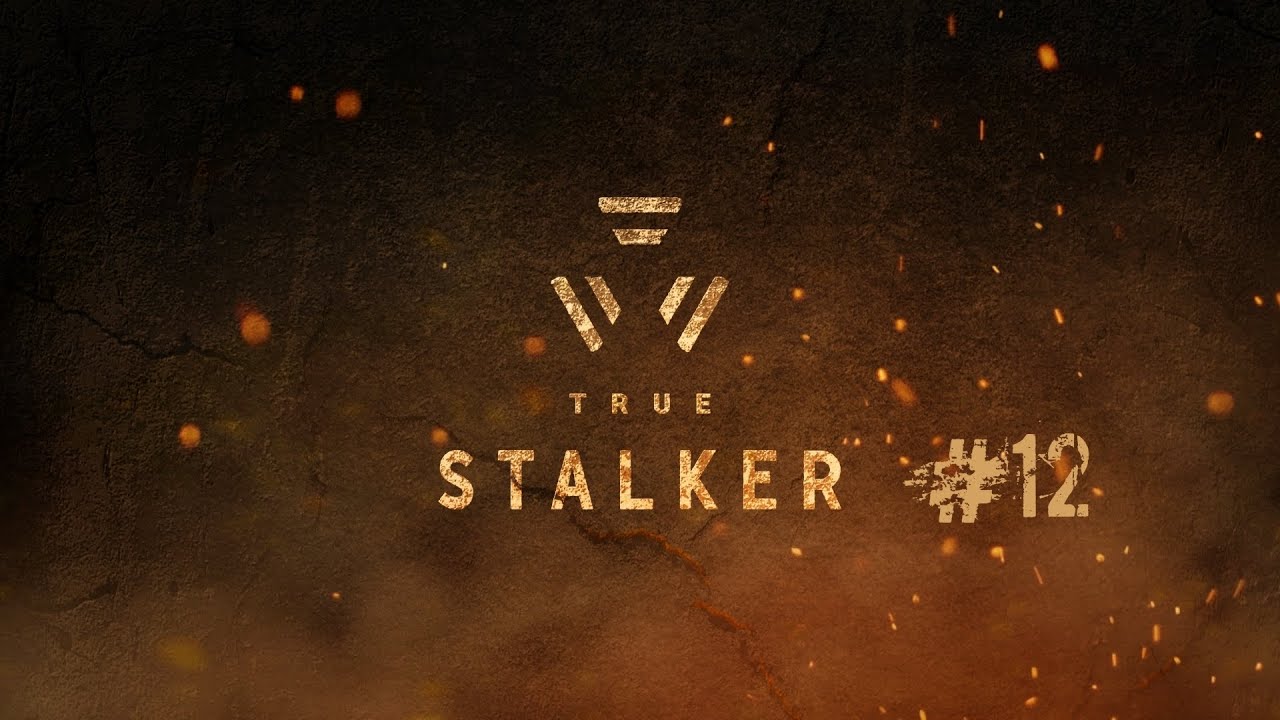 True Stalker #12 Конец истории Топора? - YouTube