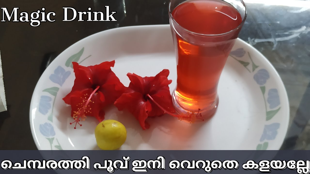 Chembarathi Flower Squash || How to make Hibiscus Squash || Healthy ...