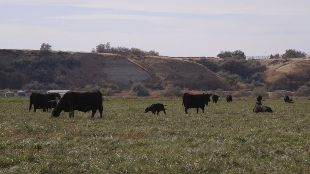 The Angus Report, July 30, 2018: Full Episode - YouTube