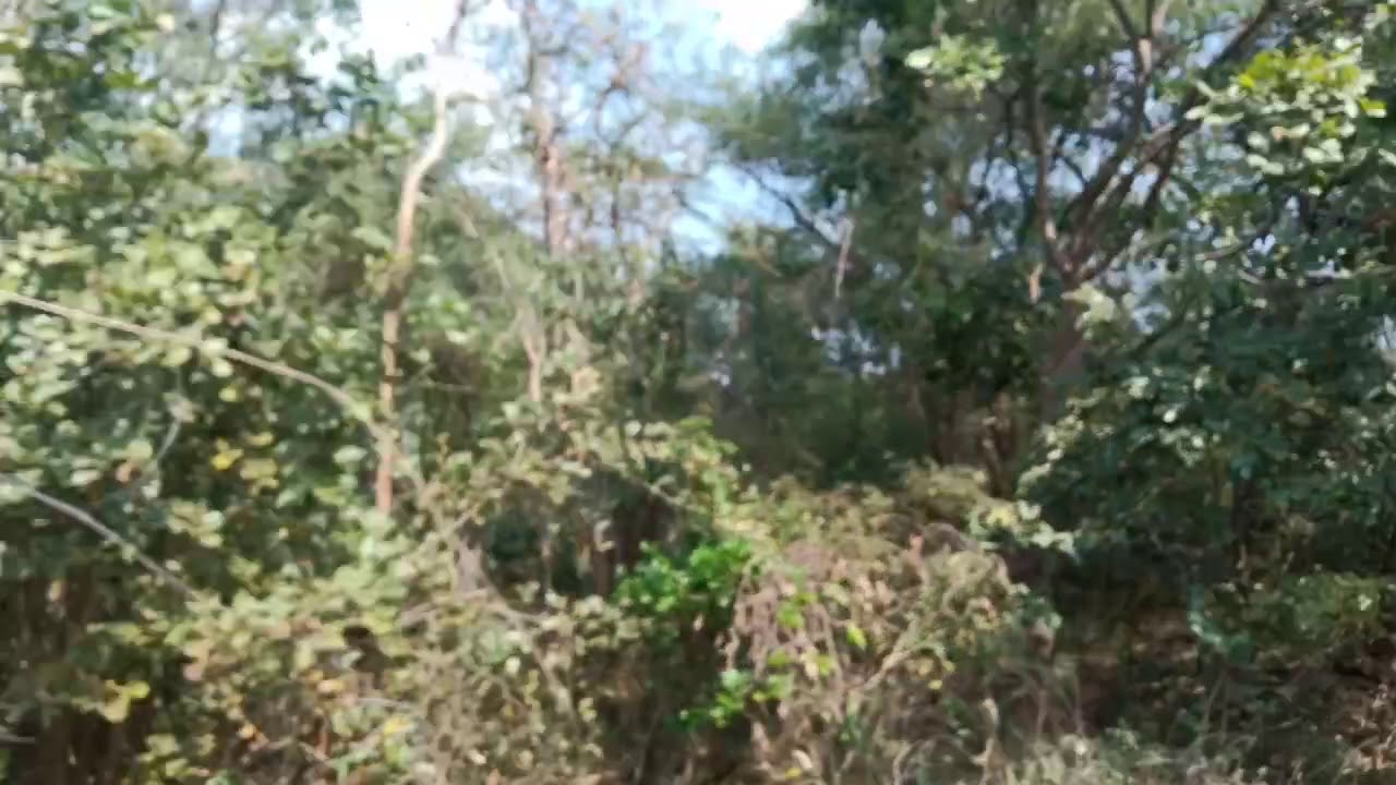 Trip to Ahobilam site seeing from allagada to Ahobilam - YouTube
