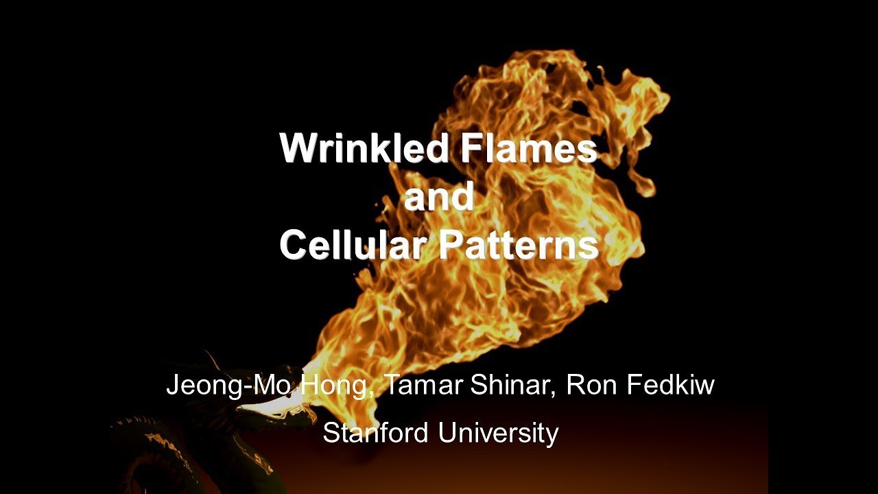 Wrinkled Flames and Cellular Patterns, ACM SIGGRAPH 2007 - YouTube
