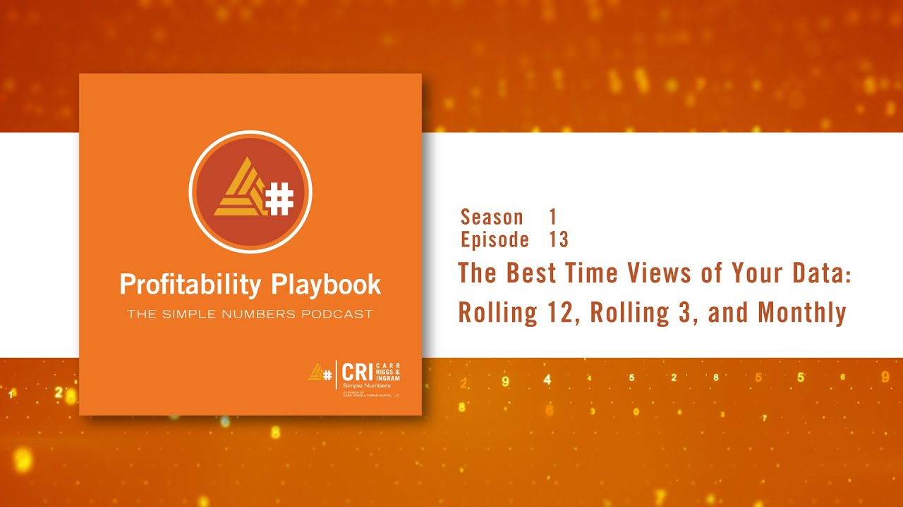 Profitability Playbook S1:E13 - The Best Time Views of Your Data ...