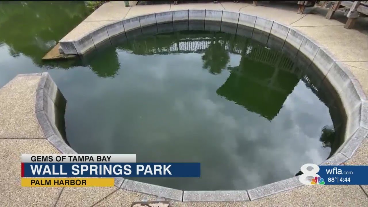 Check out this gem of Tampa Bay: Wall Springs Park - YouTube