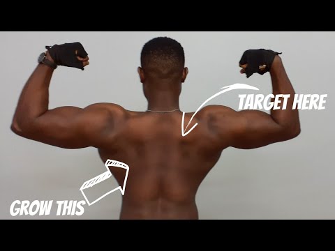 ULTIMATE BACK WORKOUT FOR GROWTH - YouTube