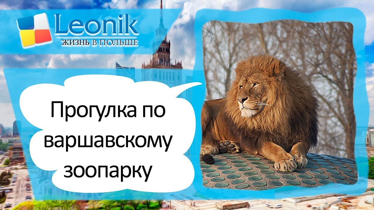 Гуляем с детьми по варшавскому зоопарку. Лето 2016. Leonik - Жизнь в ...