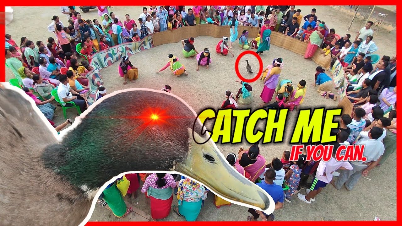 Nganu Fabi - DUCK 🦆 catching game as a part of #yaosang festival # ...