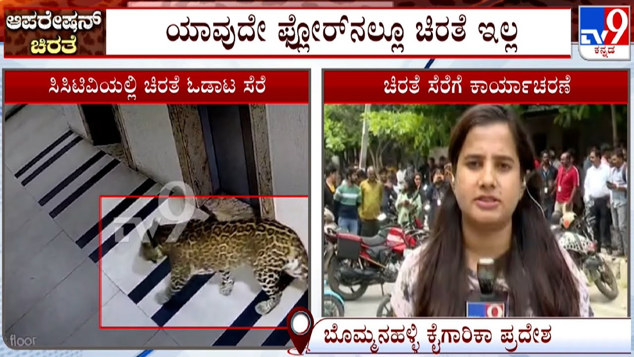Operation Leopard In Bengaluru: ಖಾಲಿ ಕಟ್ಟಡದಲ್ಲಿ ಚಿರತೆ ಇಲ್ಲವೇ ಇಲ್ಲ! ಪೊದೆಯೊಳಗೆ ಅರಣ್ಯ ಅಧಿಕಾರಿಗಳಿಂದ ...
