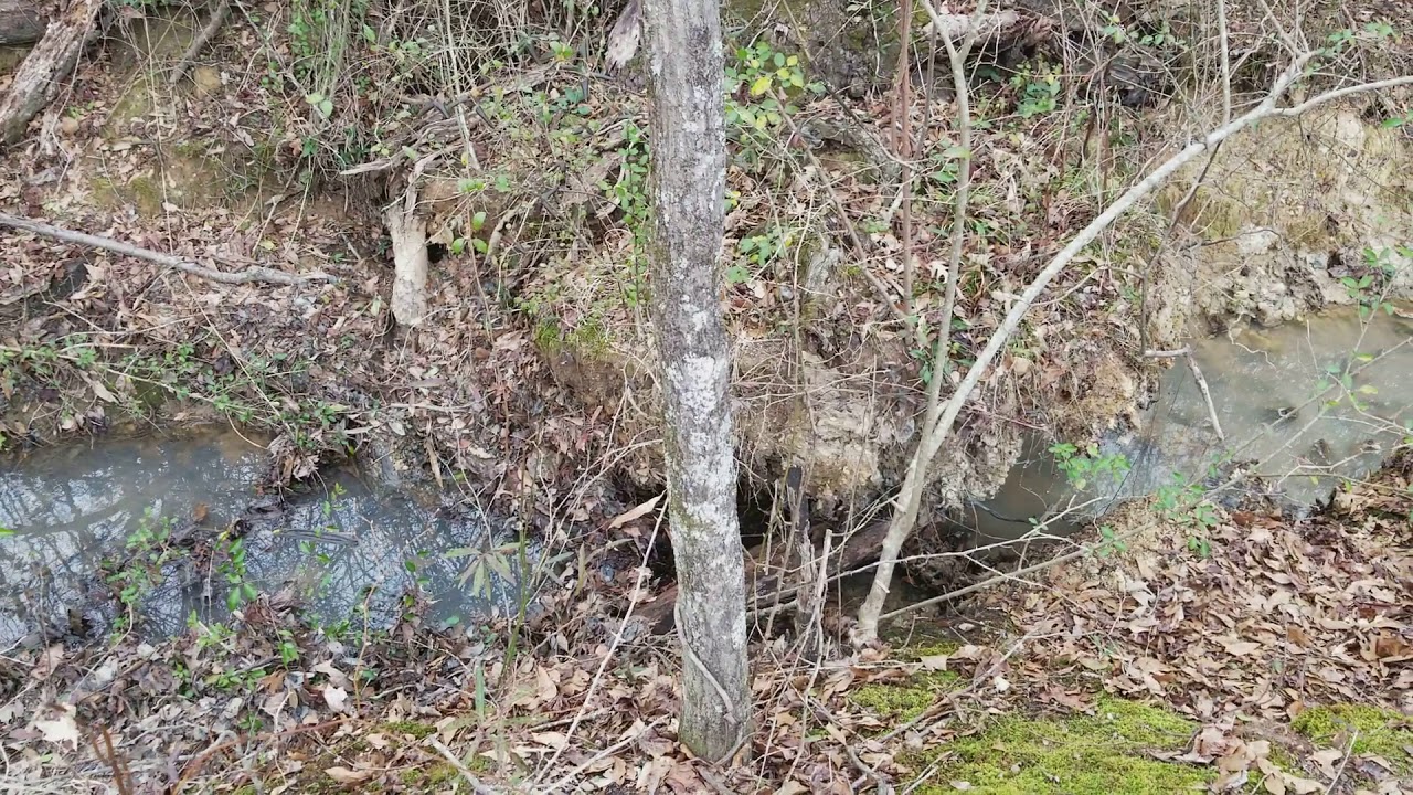 Creek update - natural tree dam coming? - YouTube