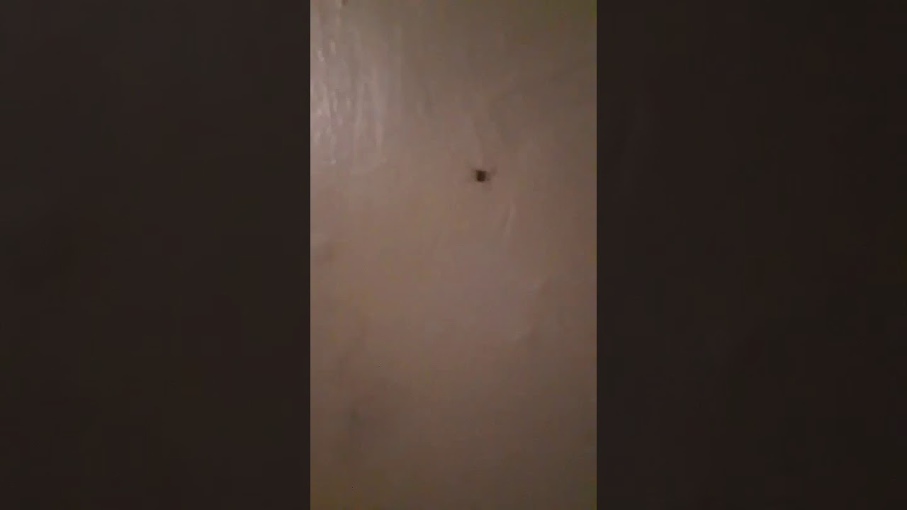 Smashing with a spider - YouTube