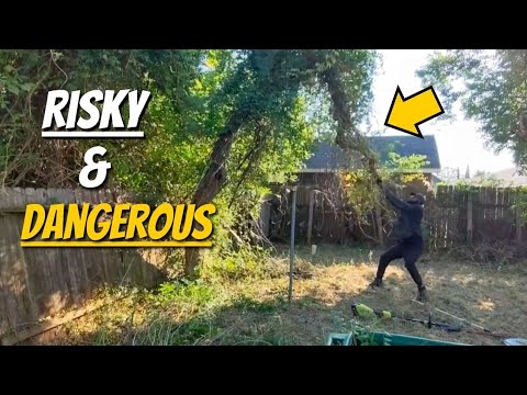 I took a RISK tackling this DANGEROUS Yard for this COMMUNITY - YouTube