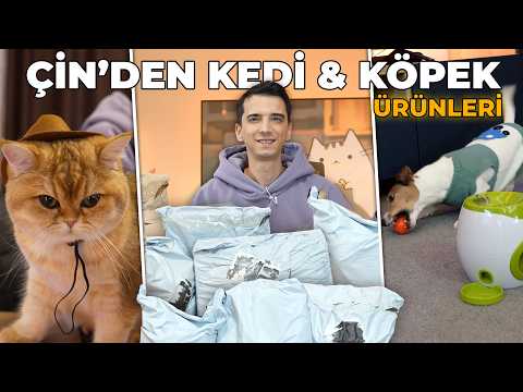 Çin'den En Çok Satan KEDİ ve KÖPEK Ürünleri! Toplu Paket Açılışı