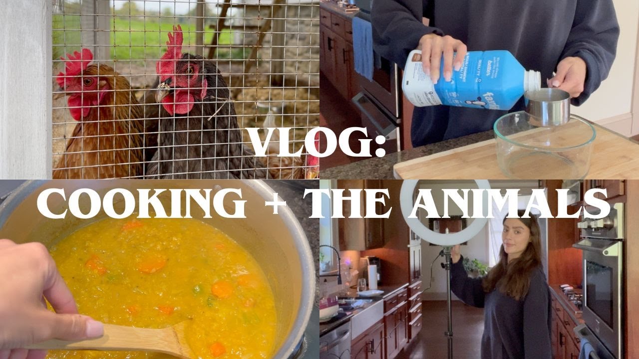 Home Vlog: Cooking macro friendly recipes + hanging with the animals ...