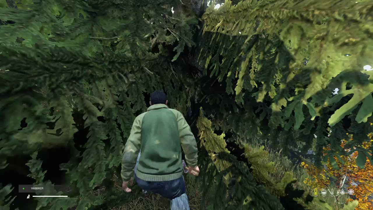 DayZ Highlight: A Hammer and Dream - YouTube