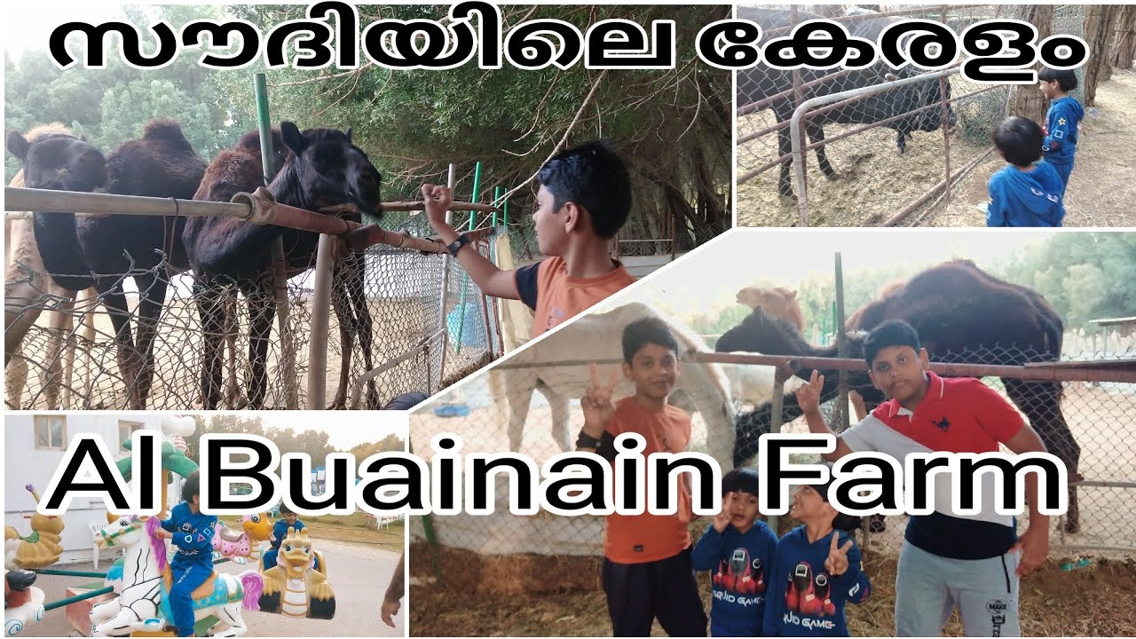 Al Buainain Farm ️BestPlaceToVisit|💯Saudiarabia|aljubail|Vegetables ...